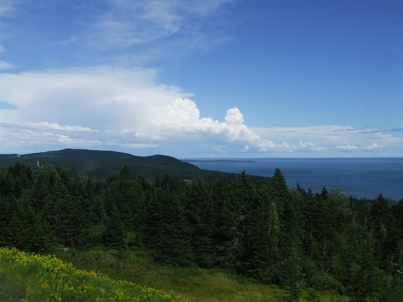 Martin Head (Southern New Brunswick)