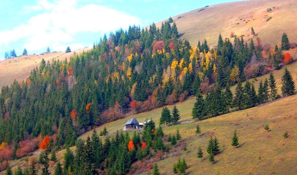 A MAGYAROK TUDÁSA: A CSÁNGÓKRÓL