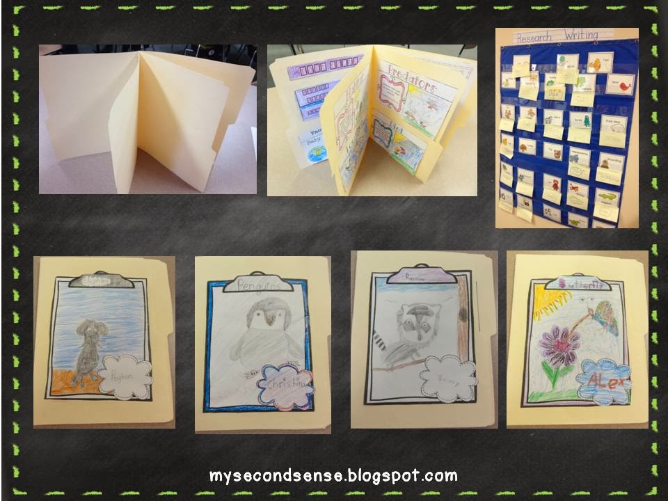 My Second Sense: Interactive Animal Research