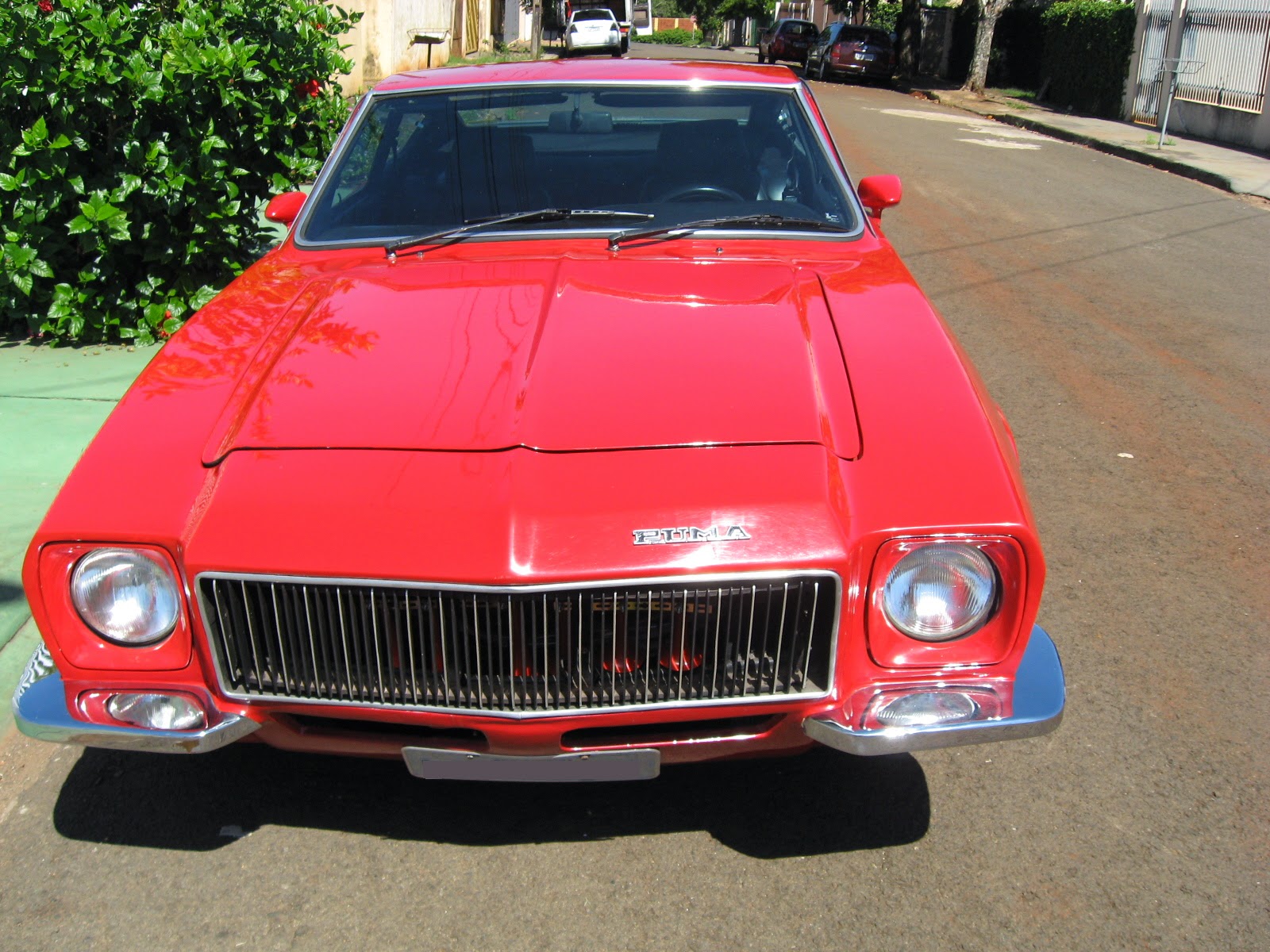 PUMA GTB S1 1978: março 2014