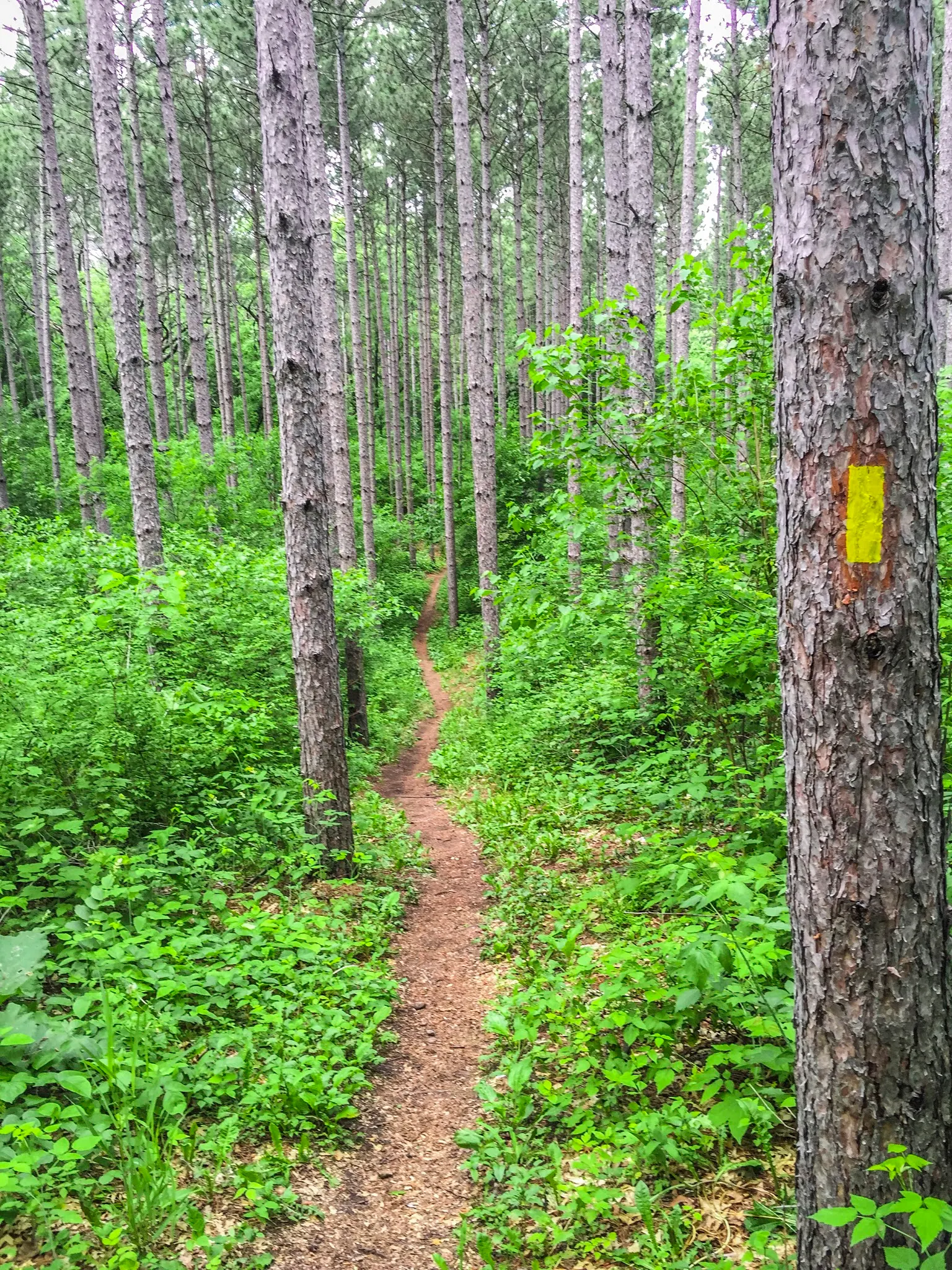 Ice Age National Trail - Blue Spring Lake Segment