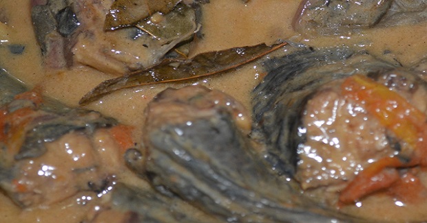Adobong Hito Sa Gata (Catfish In A Coconut Milk) Recipe - Pinoy Food Island