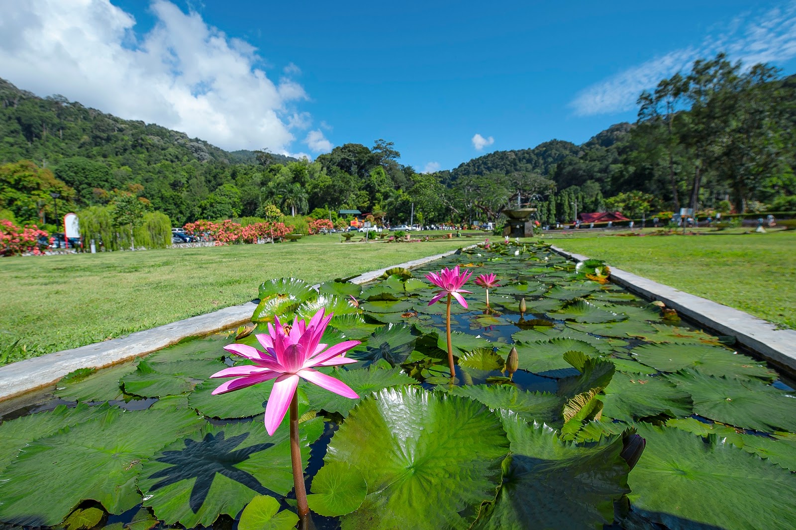 KEISTIMEWAAN PULAU PINANG