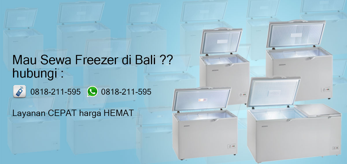 Layanan Sewa Freezer di Bali dan Sekitarnya