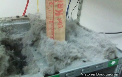 MEXICOGEEK: COMPUTADORAS TANTITO SUCIAS