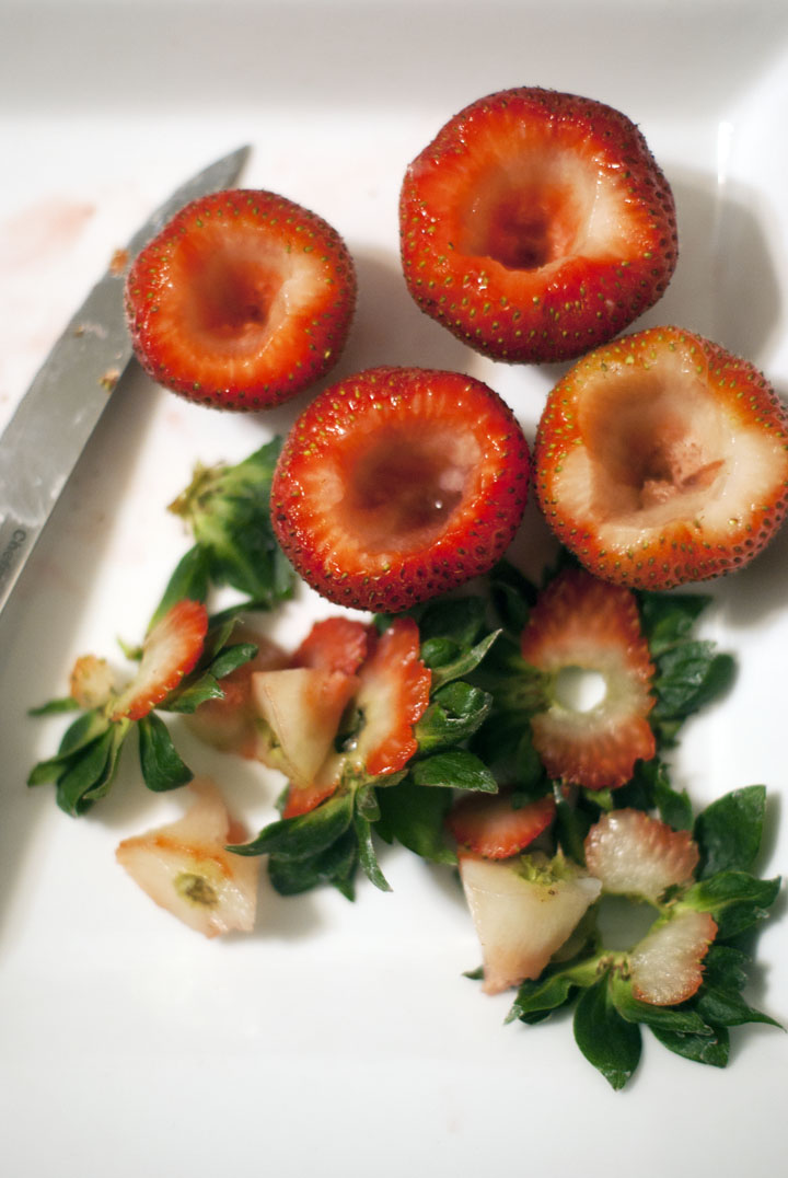 fox and gypsy: jello strawberita