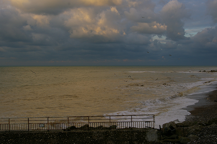 Les Petites-Dalles au fil des jours: La mer jaune (par L.T.)