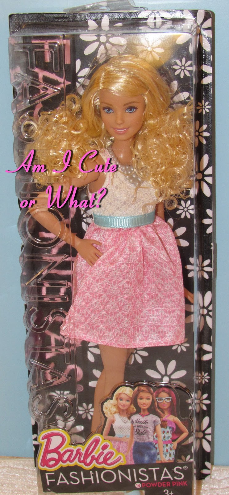 A Focus on the Cute: New Barbie Fashionista Powder Pink #14