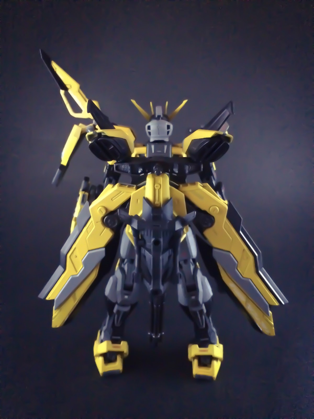 Gundam Family: MG 1/100 GAT-X105.Bee : "Sword Strike Bee" Custom Build
