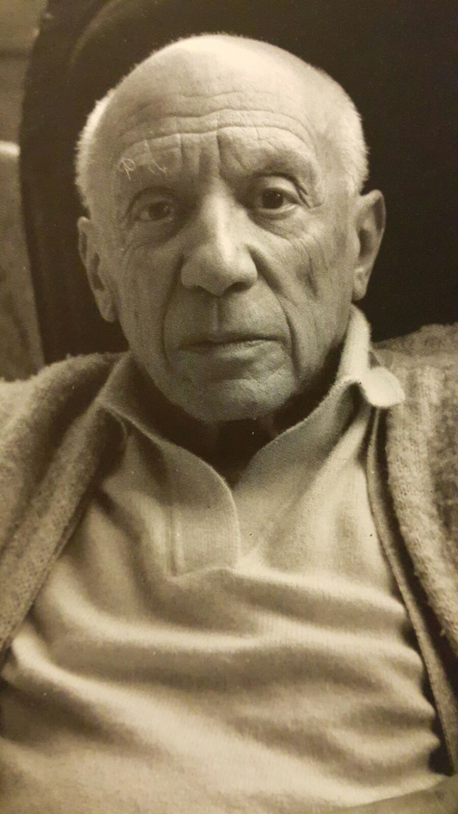 Il diario di Stefy: PICASSO