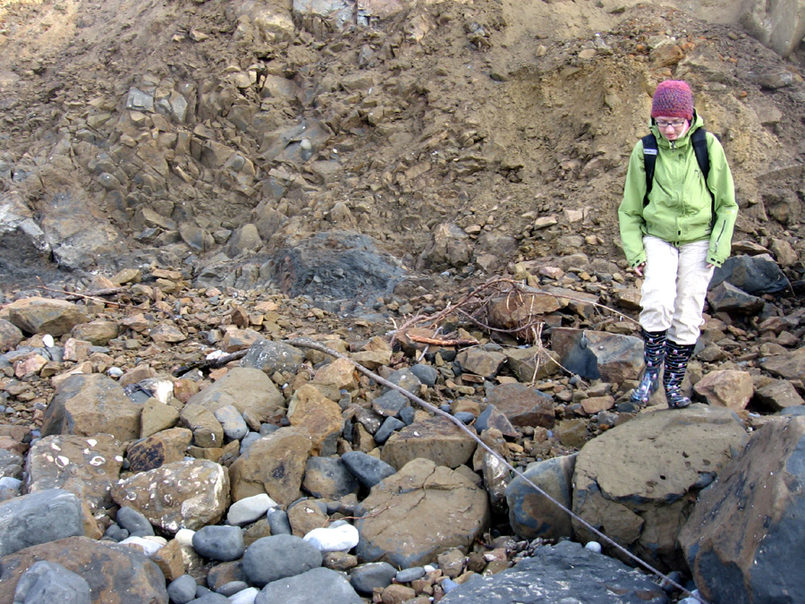 The Coastal Paleontologist: March 2013