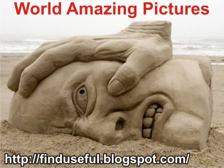 Find Useful, Informative, General Things: World Amazing Pictures