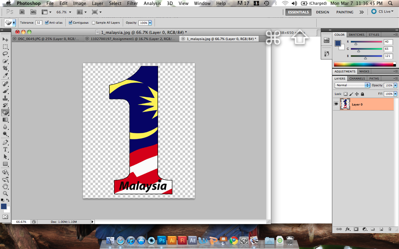 CG3 2011: Assignment 1