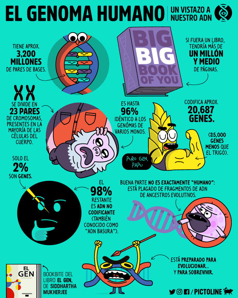 PROCESOS DEL ADN: El Genoma Humano