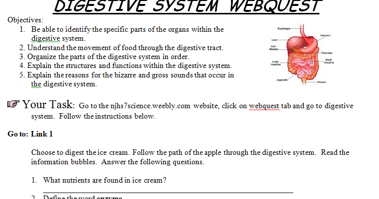 Science 7: Digestive system webquest