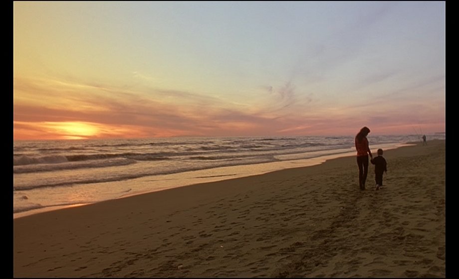 L'Alligatographe: Guardami