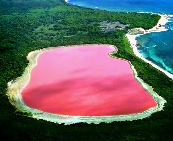 MUY INTERESANTE SPAIN: EL LAGO QUE SIEMPRE FUE ROSA