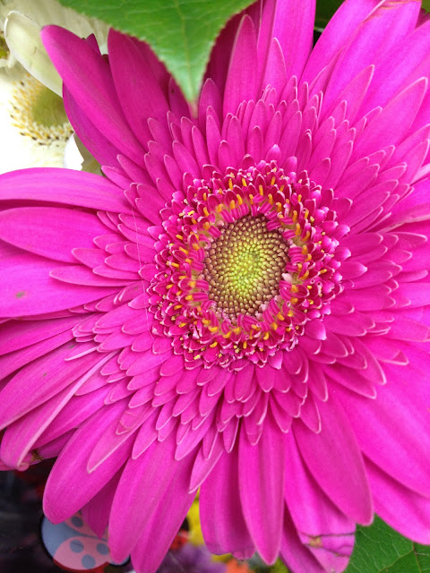 The Helpful Art Teacher: THE SPIRAL