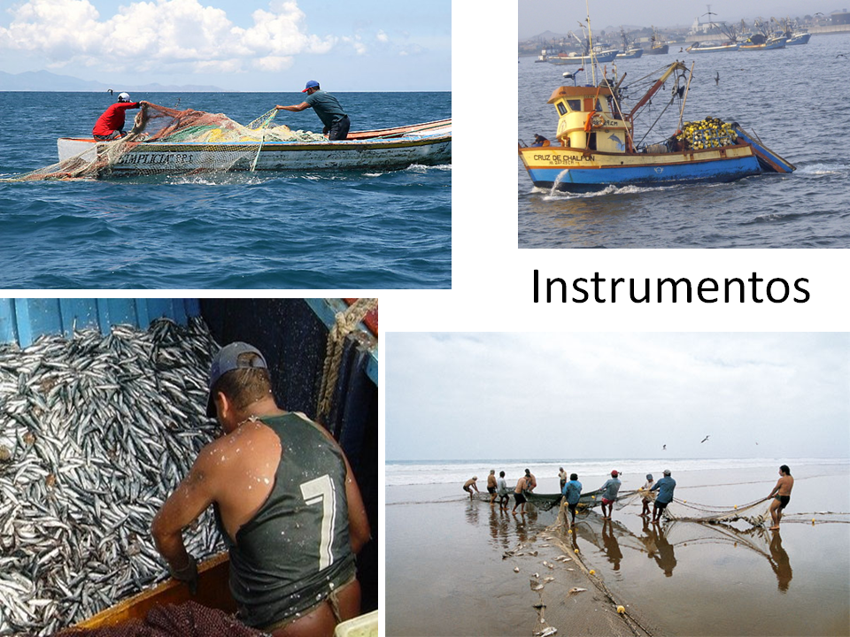 Edúcate Piura: ACTIVIDADES ECONÓMICAS EXTRACTIVAS