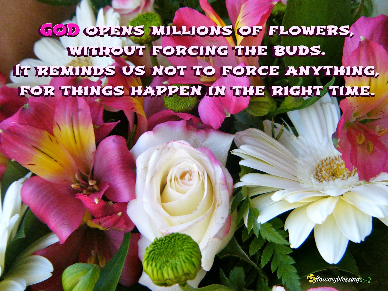 Flowery Blessing: GOD opens millions of flowers, without forcing the ...