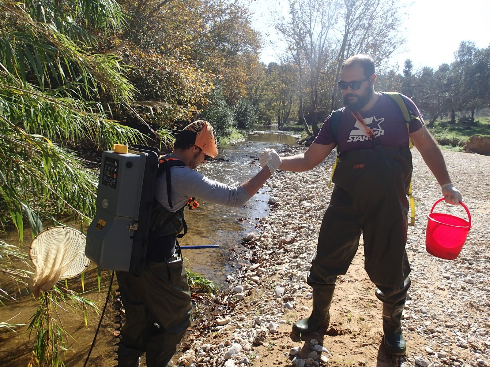 Athens Nature Journal: Upper Kifissos River, Athens: Studying the river ...