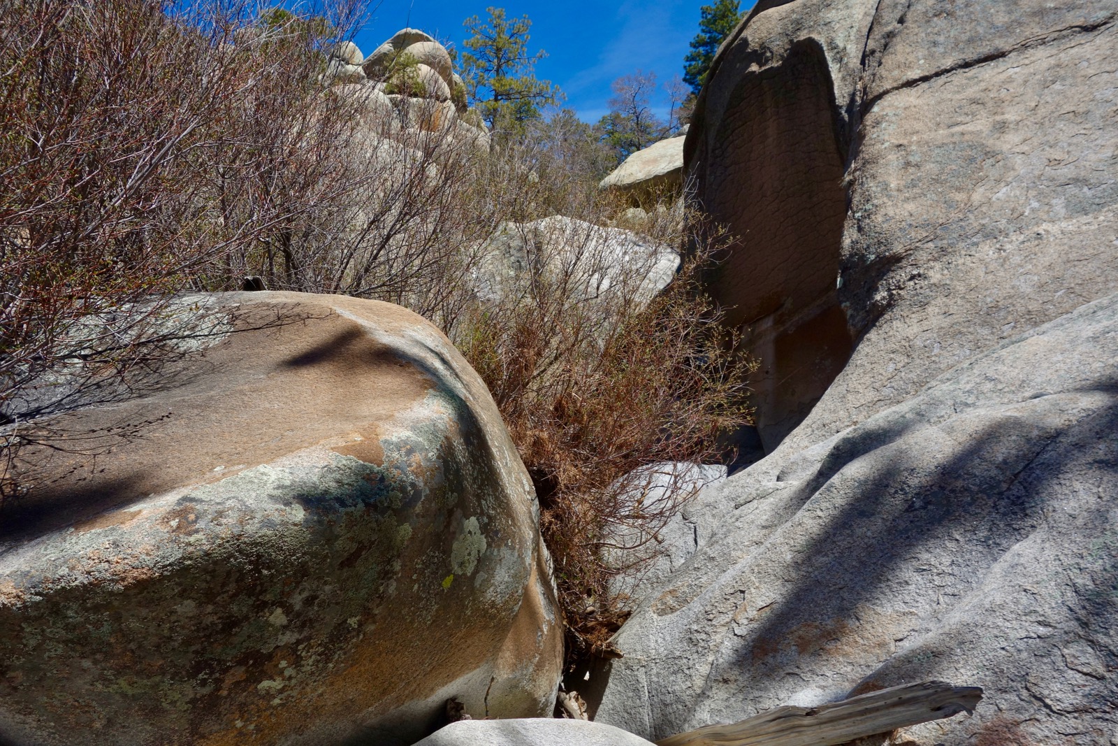 Earthline: The American West: Lemmon Pools and Marshall Peak, Northwest ...