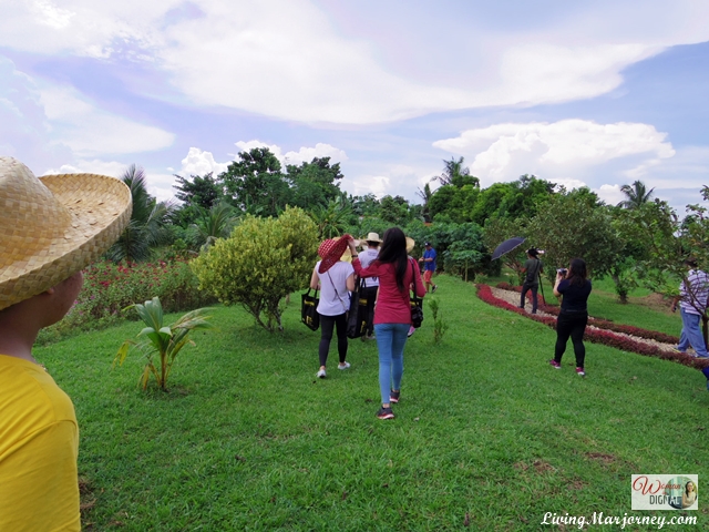 Woman In Digital: My Trip to Sonrisa Organic Farm in Camarines Sur