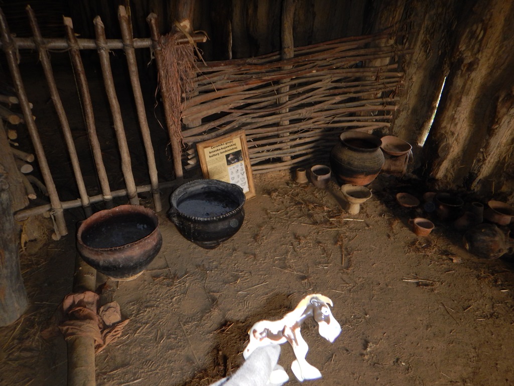 Rick The Traveller: Archaeological museum in Biskupin (Part 1 ...