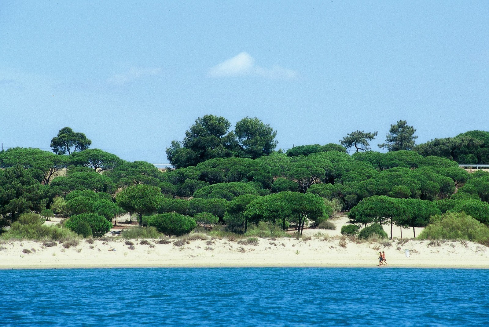 DE MAR El Rompido: Playa de El Rompido