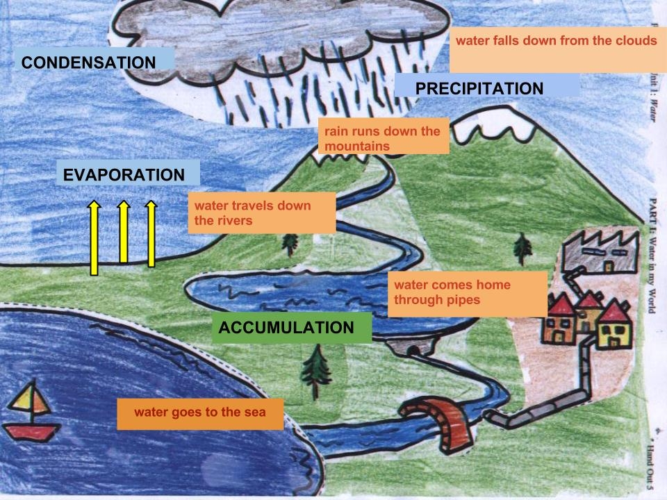 Water Cycle Poster For Kids