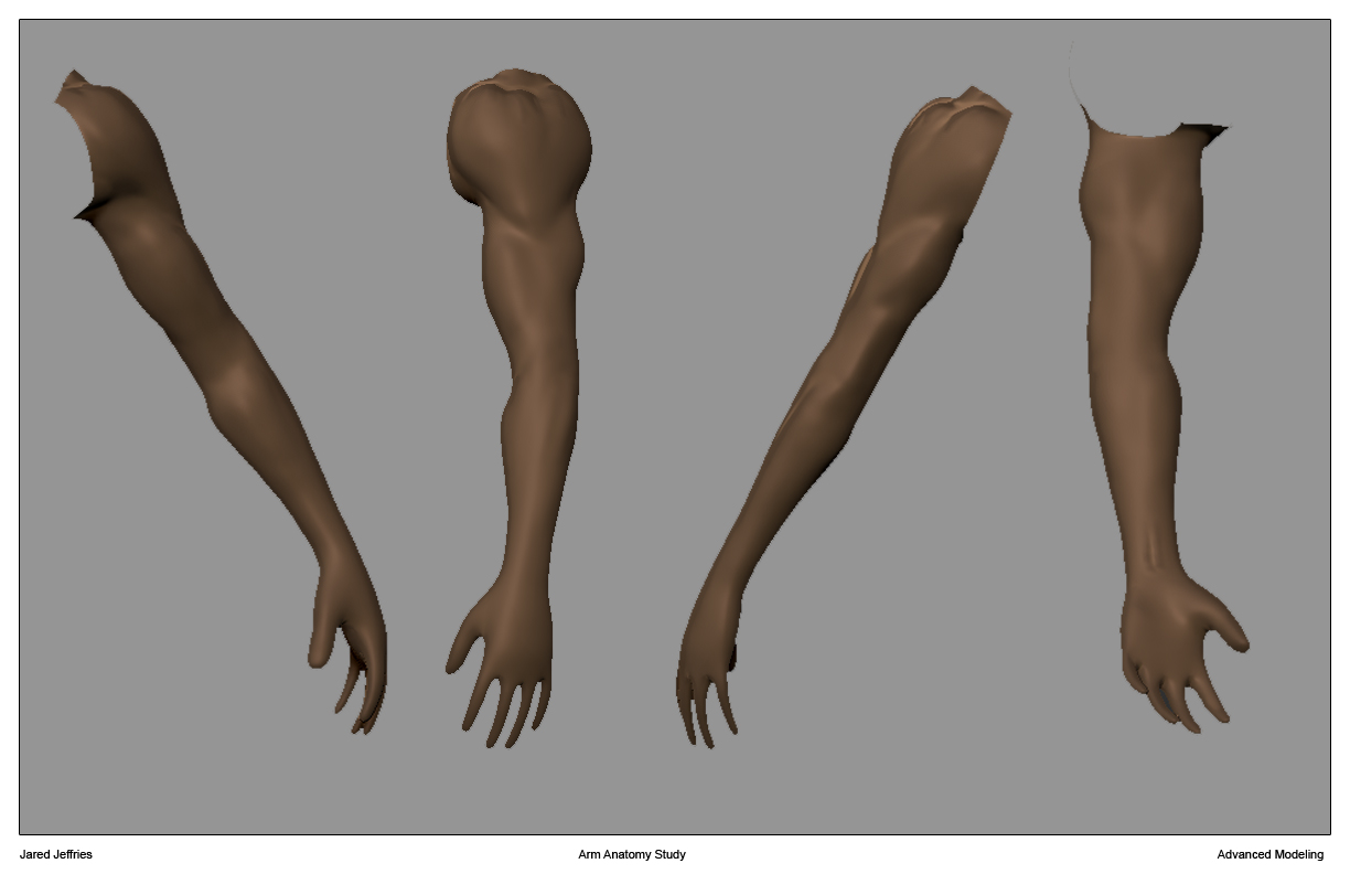 Jared Jeffries: Anatomy Study - The Arm!