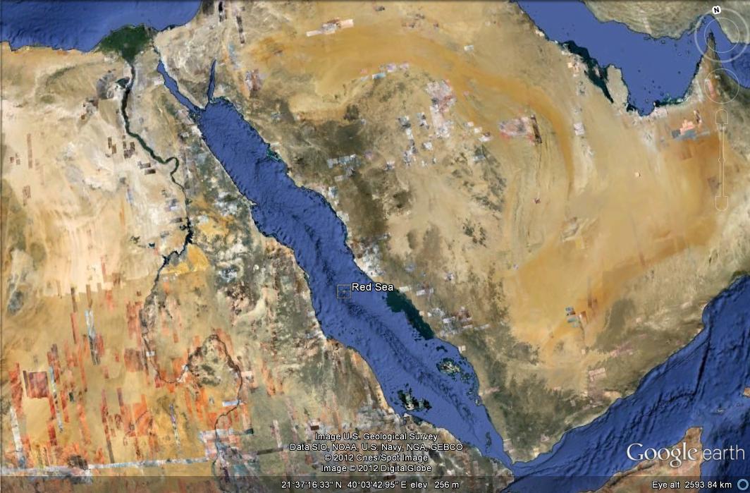 A World Outside Wolvo: Being a Newly Certified SCUBA Diver and the Red Sea