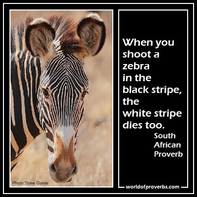 Photo by Steve Garvie from Dunfermline, Fife, Scotland