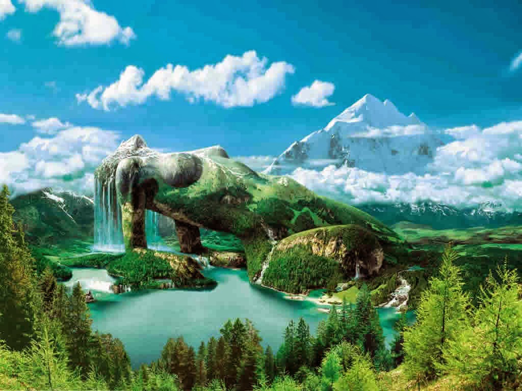 CÍRCULO DA FORÇA : TERRA MÃE