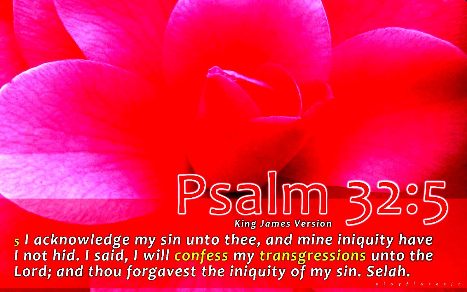 WORD of TRUTH Lighthouse ": " The Key to Success