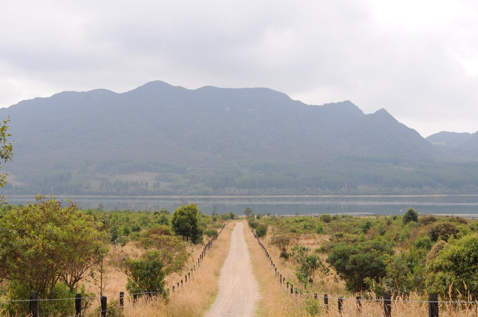 Amaneciendo en el Neusa | Una antología de aventuras