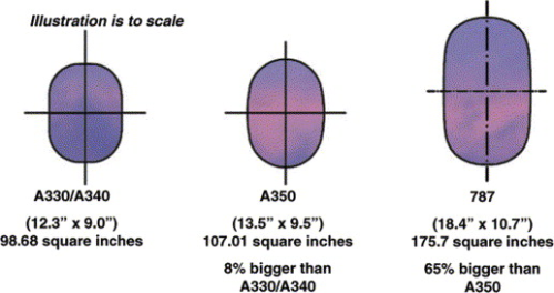 Born to Fly: Facts About the 787 Boeing Dreamliner