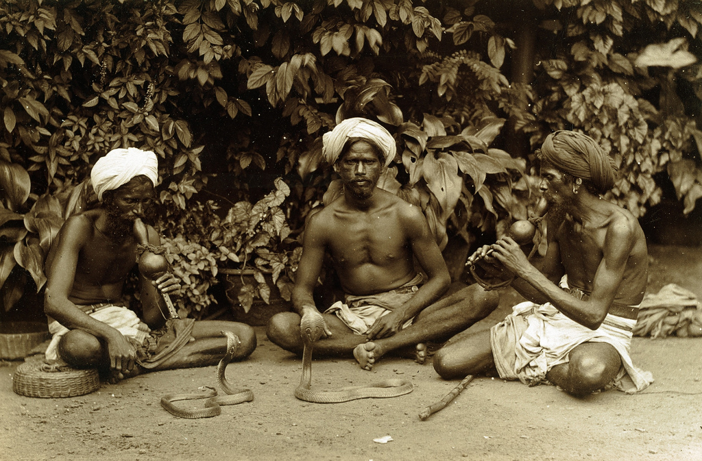 17 Extremely Rare Photos Capture Everyday Life of Ceylon (Sri Lanka) in ...