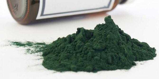 Masker Rumput Laut Untuk Wajah Bersih dan Sehat - GATSUONE BLOG