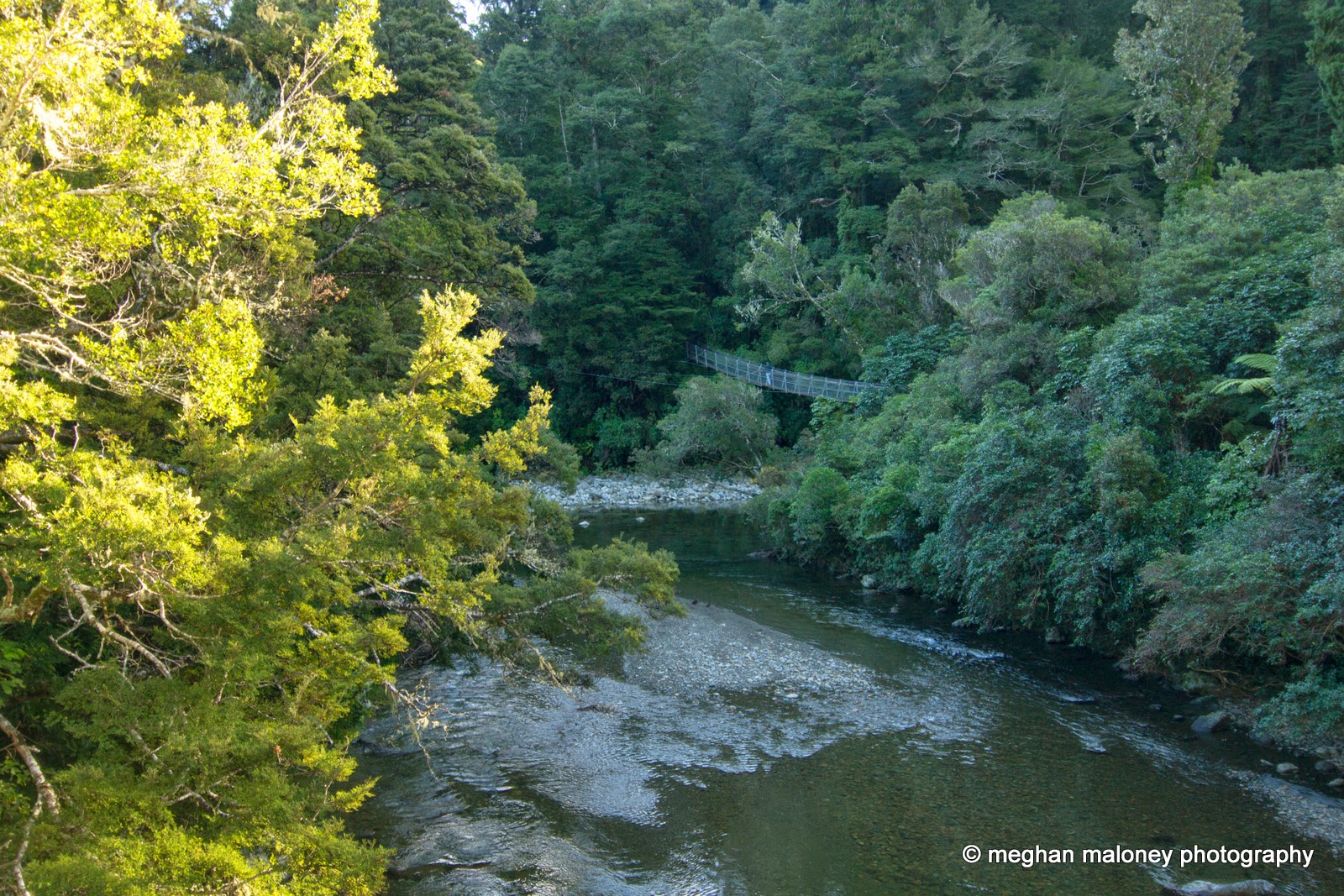 A walk through Rivendell and Kaitoke Regional Park | the adventures of MNMs