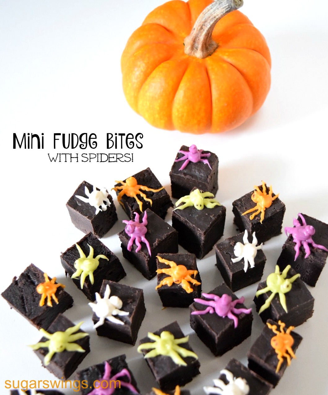 Sugar Swings! Serve Some: Mini Fudge Bites with Spiders!