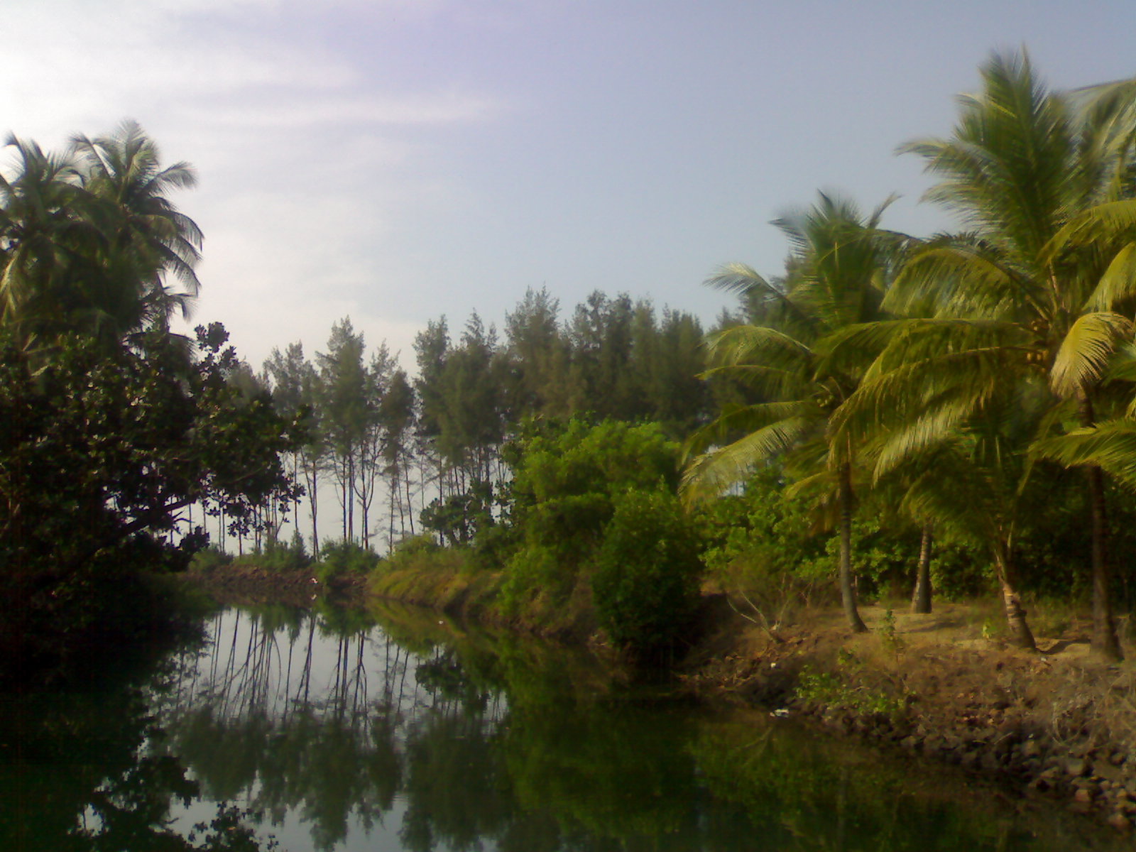Konkan : God lives here...: DEVBAG BEACH...... 'DEVBAG SANGAM'.....