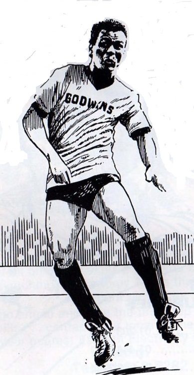 The Reckless Guide to Barnet FC: RECKLESS GUIDE TO HARROGATE TOWN AFC