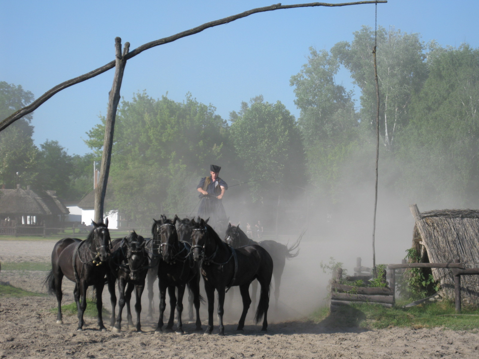 Los álamos dorados: La Puszta