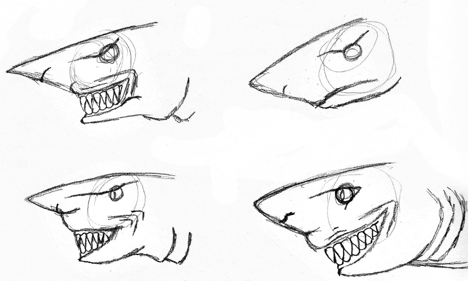 Katy J Negus. BA Hons. CG Arts & Animation: Shark Design