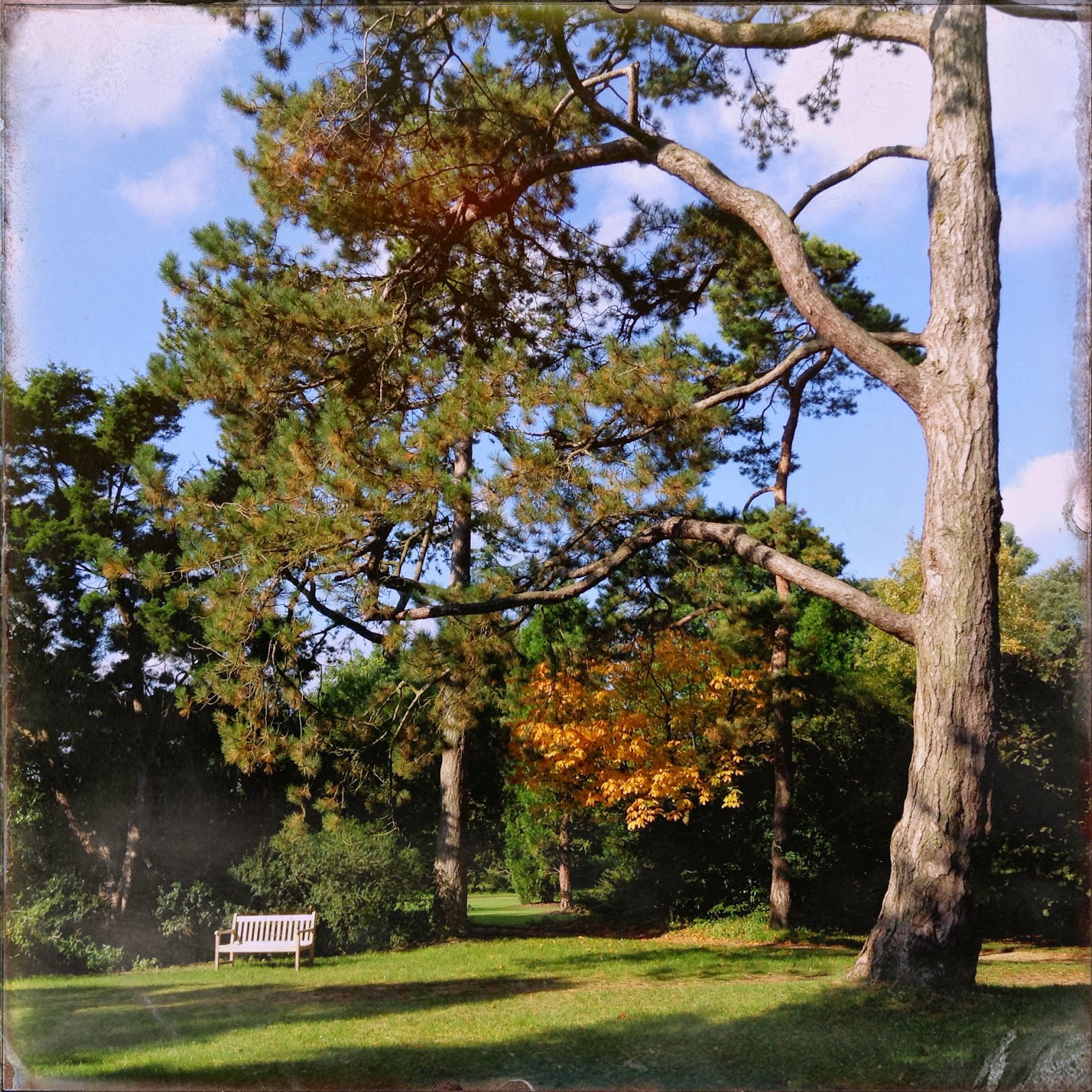 "The Religion of Autumn" and "Unity" by John Goodwyn Barmby (1820-81 ...