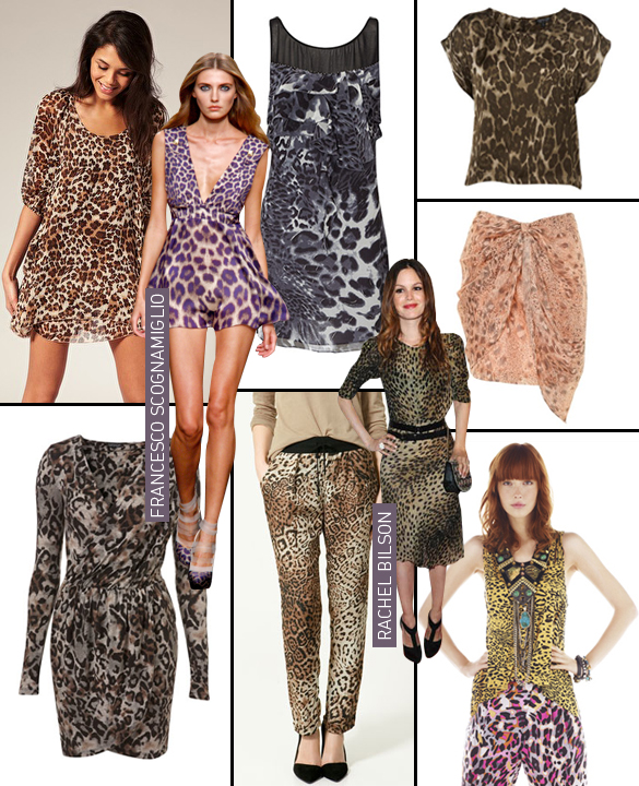 LifeStyle & Fashion : FASHION ANIMAL PRINT