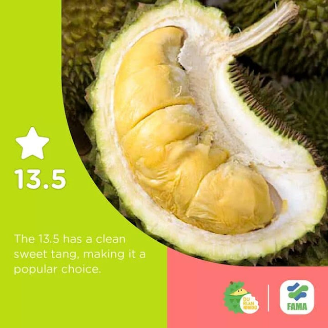 24 Jenis-Jenis Durian Beserta Nombor Code Yang RARE, Jarang Kita Dengar