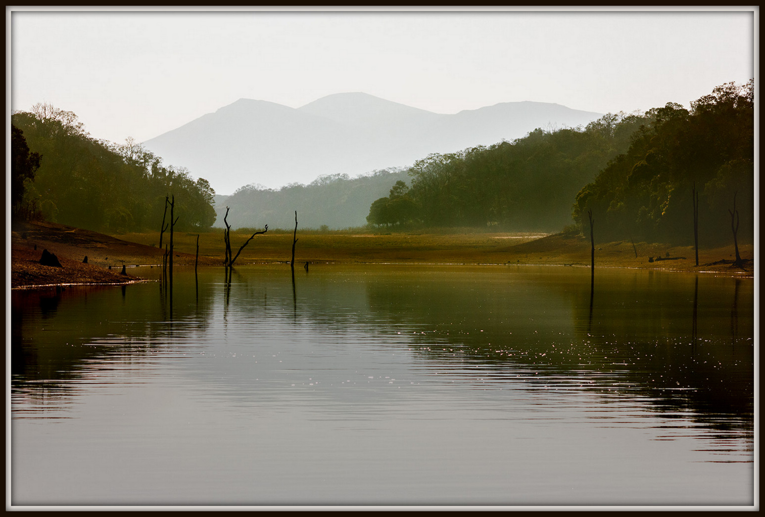 The Traveller: Periyar, tiger reserve, lake and nature walk