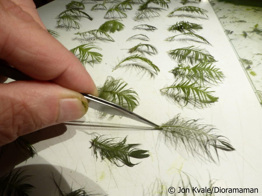DIORAMAMAN: HOW TO make PALM TREES